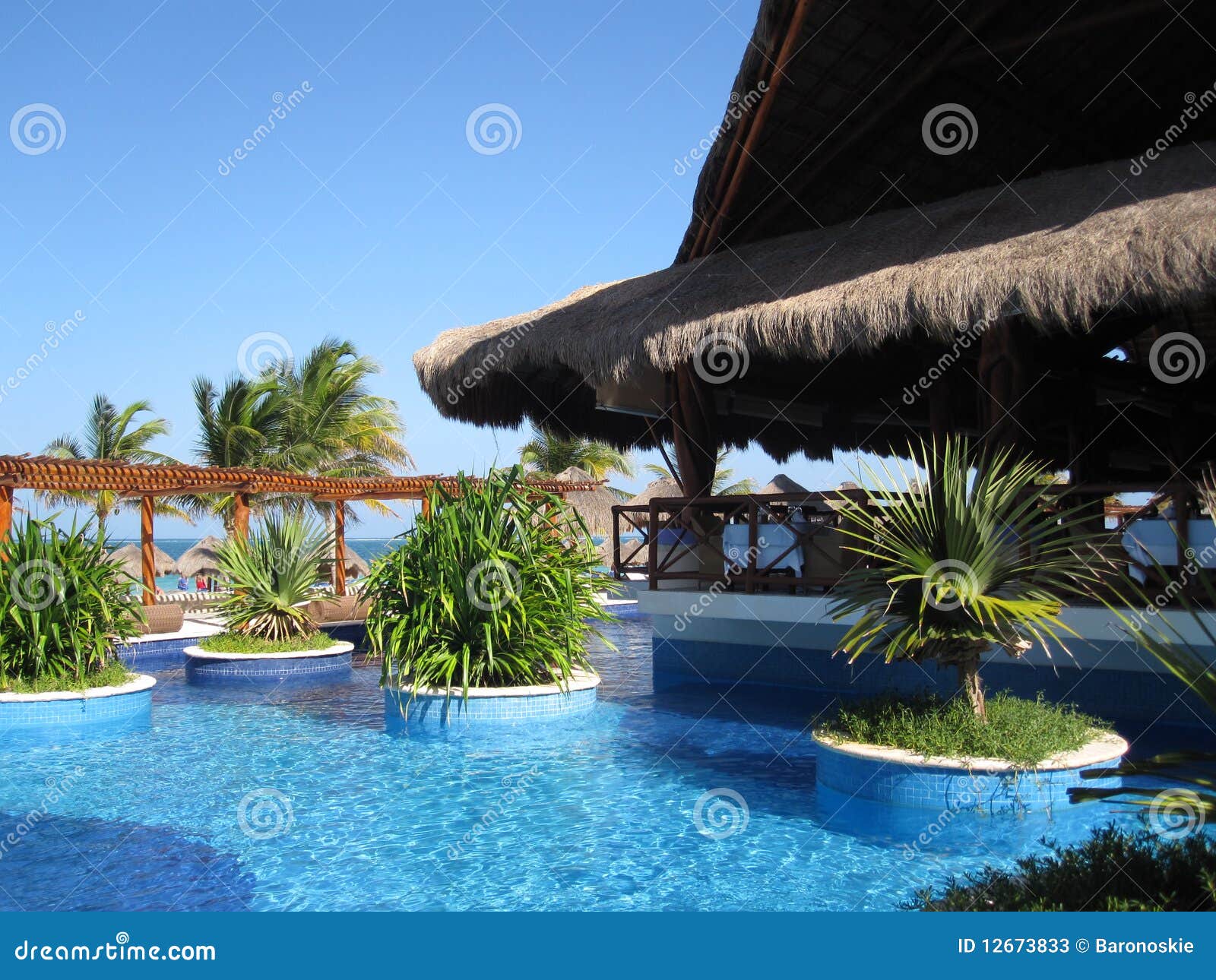 Swimming Pool with Hut stock image. Image of trees, palms - 12673833