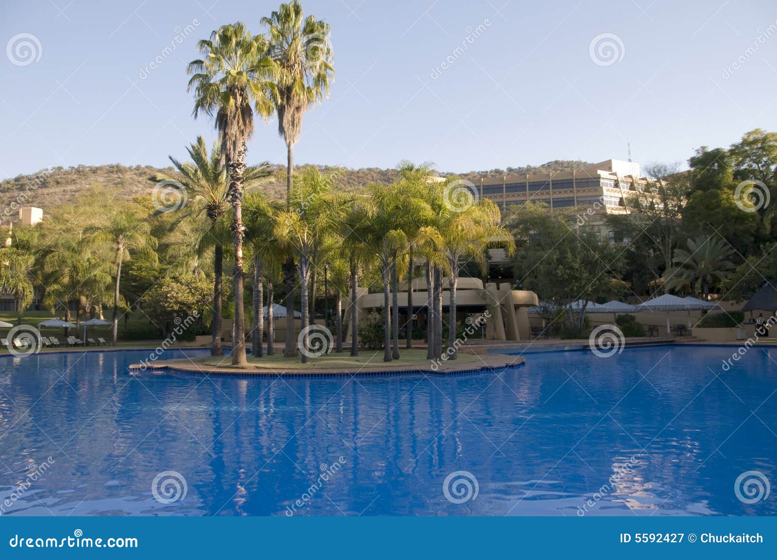 Swimming Pool and Island Bar Stock Image - Image of green, hotel: 5592427