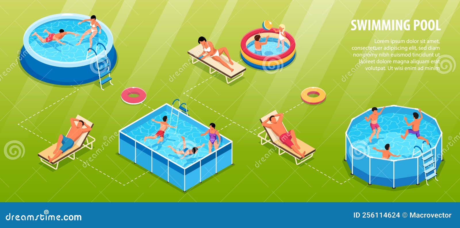 Set Of Infographics About Swimming In The Pool Styles Swimmers Stock Illustration