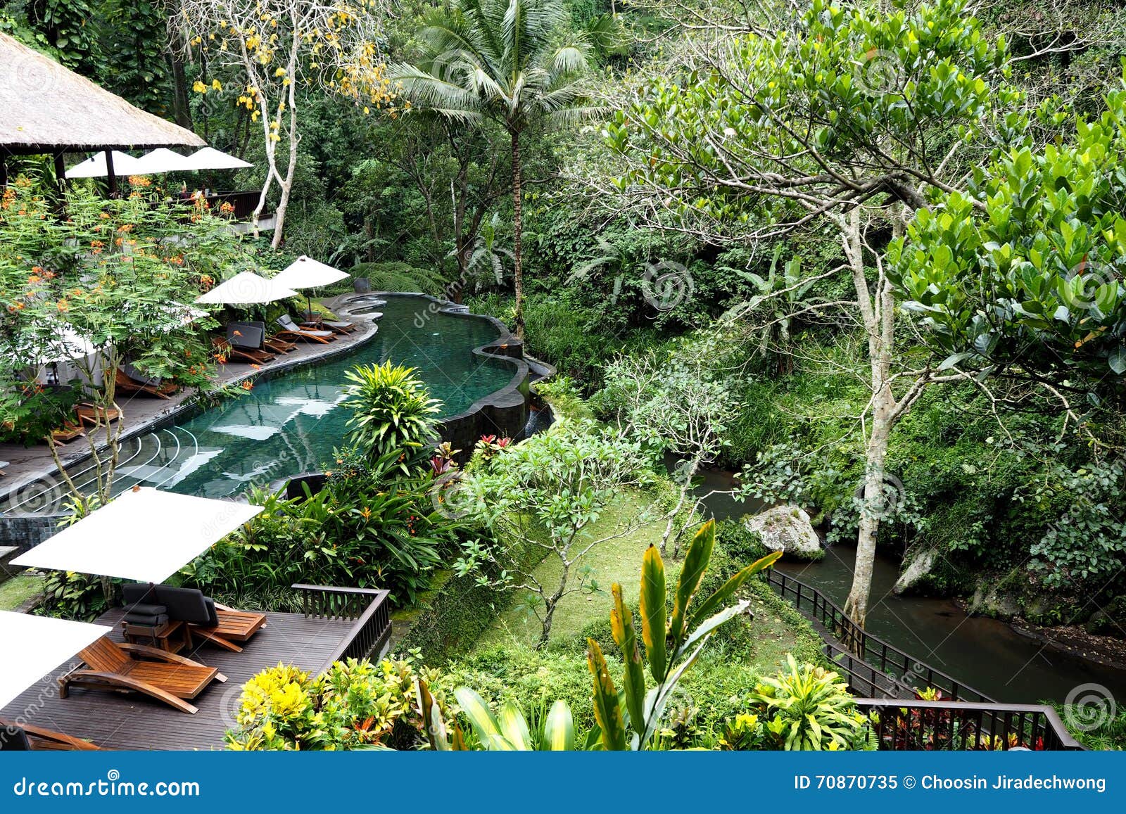 Swimming pool in jungle stock image. Image of view, tourism - 70870735
