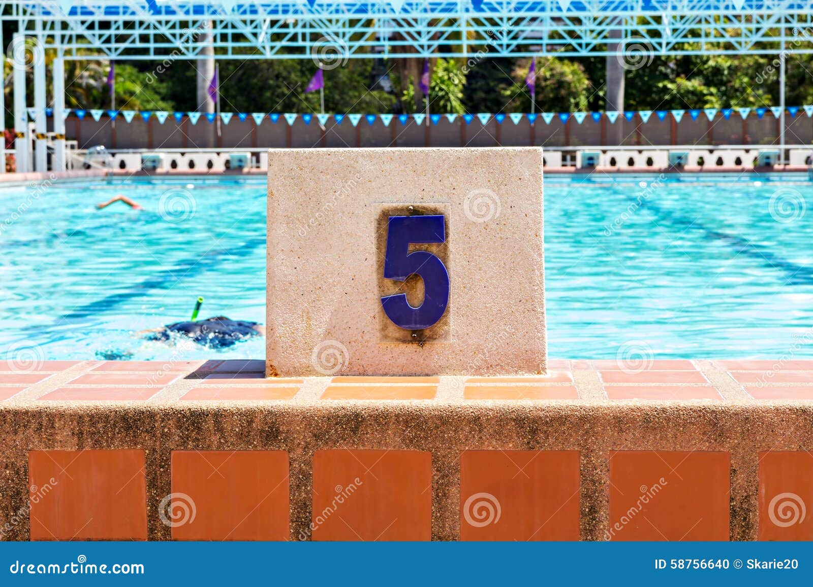 Swimming Pool Lane Number 5 Stock Photo - Image of reflection, goal ...