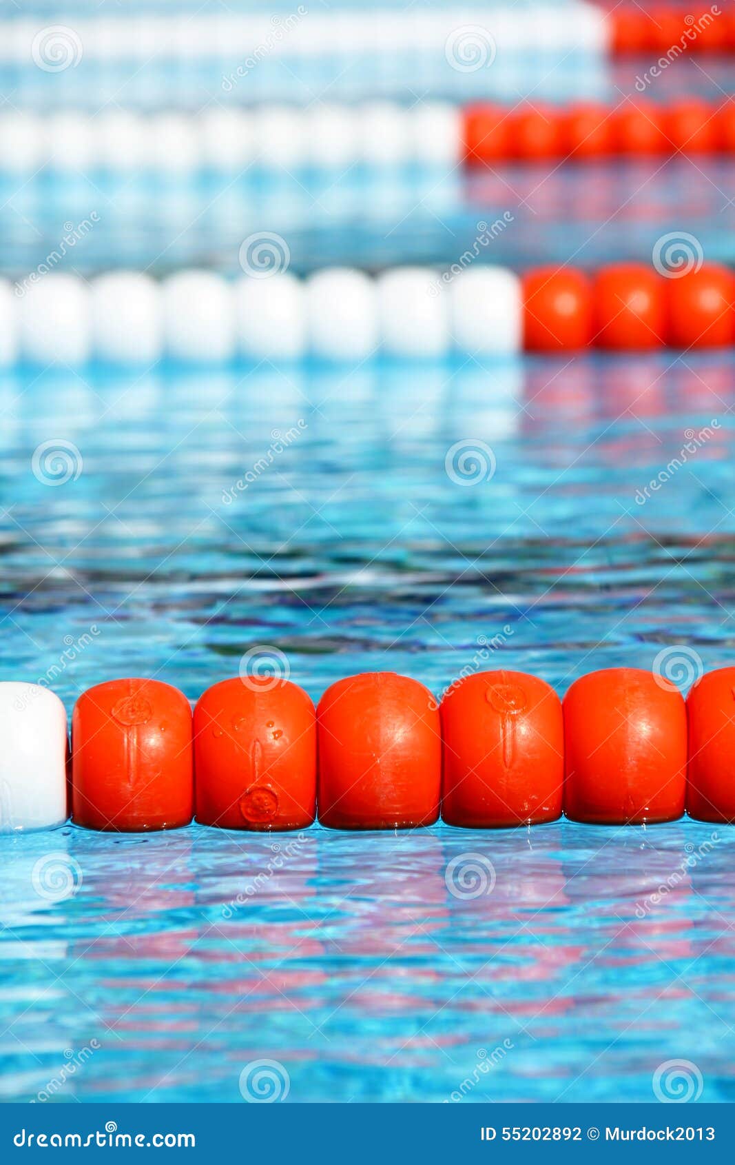 Swimming pool lanes stock photo. Image of boards, lane - 55202892