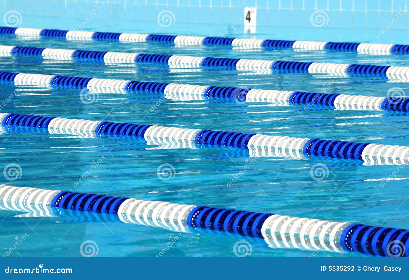 Swimming Pool Lanes stock photo. Image of league, deep - 5535292