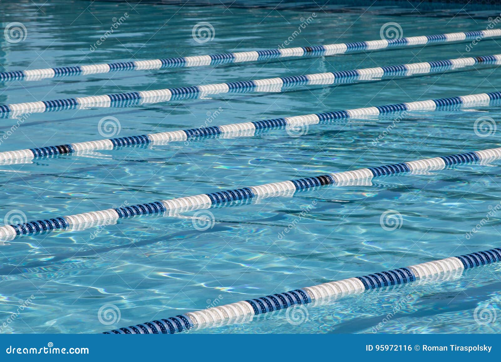 Swimming pool stock photo. Image of united, excecise - 95972116