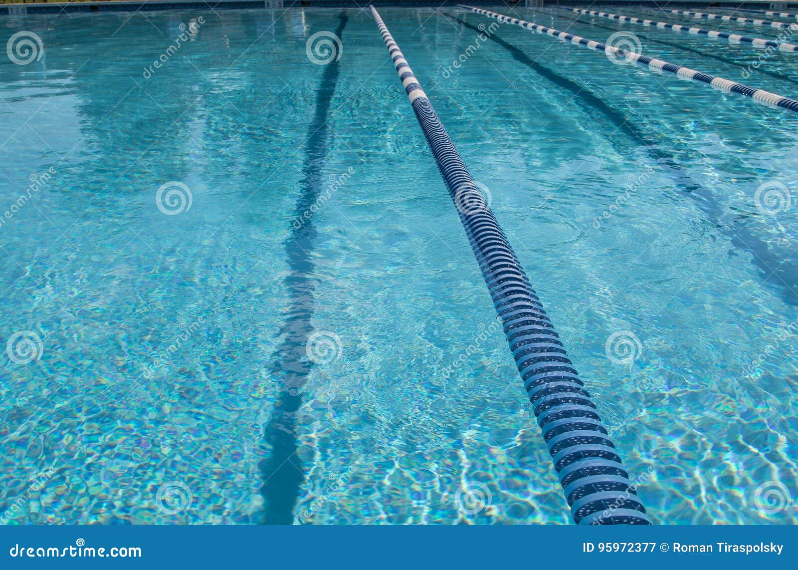 Swimming pool stock image. Image of divided, blue, united - 95972377