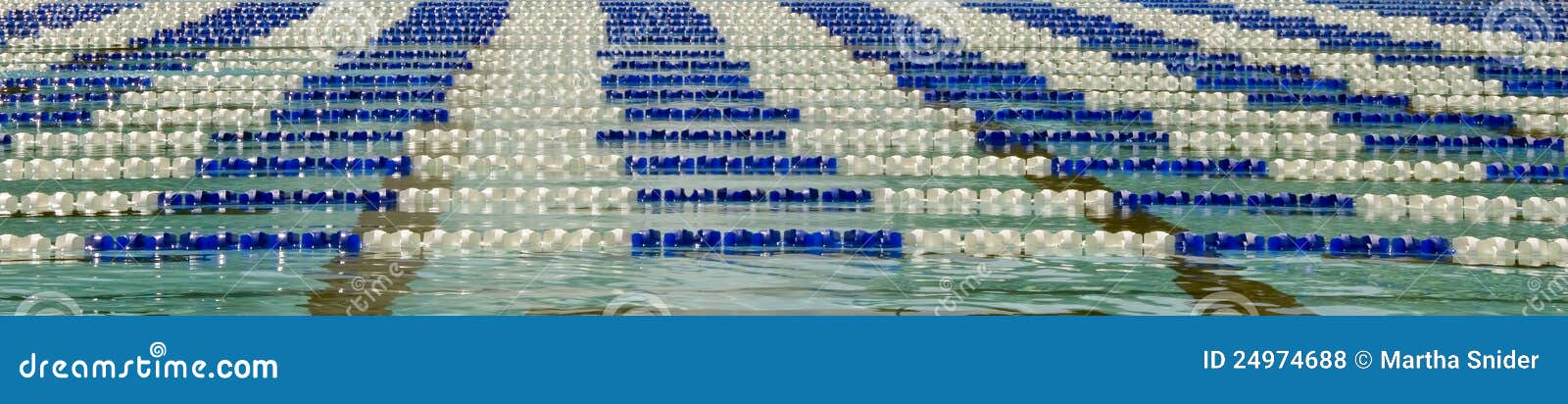 Swimming Pool Lap Lanes stock photo. Image of team, division - 24974688