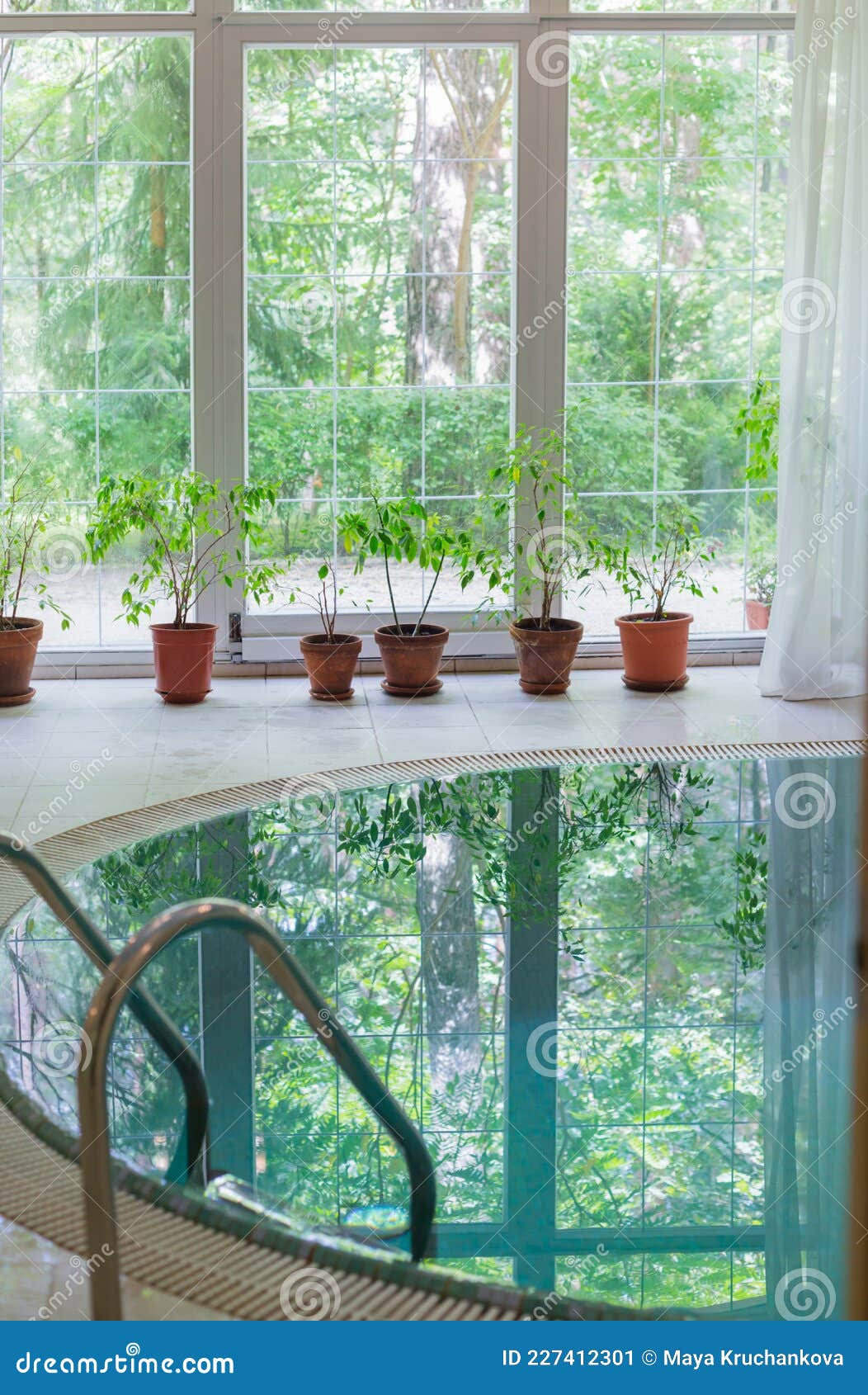 Swimming Pool with Panoramic Window Overlooking Summer Forest Stock ...