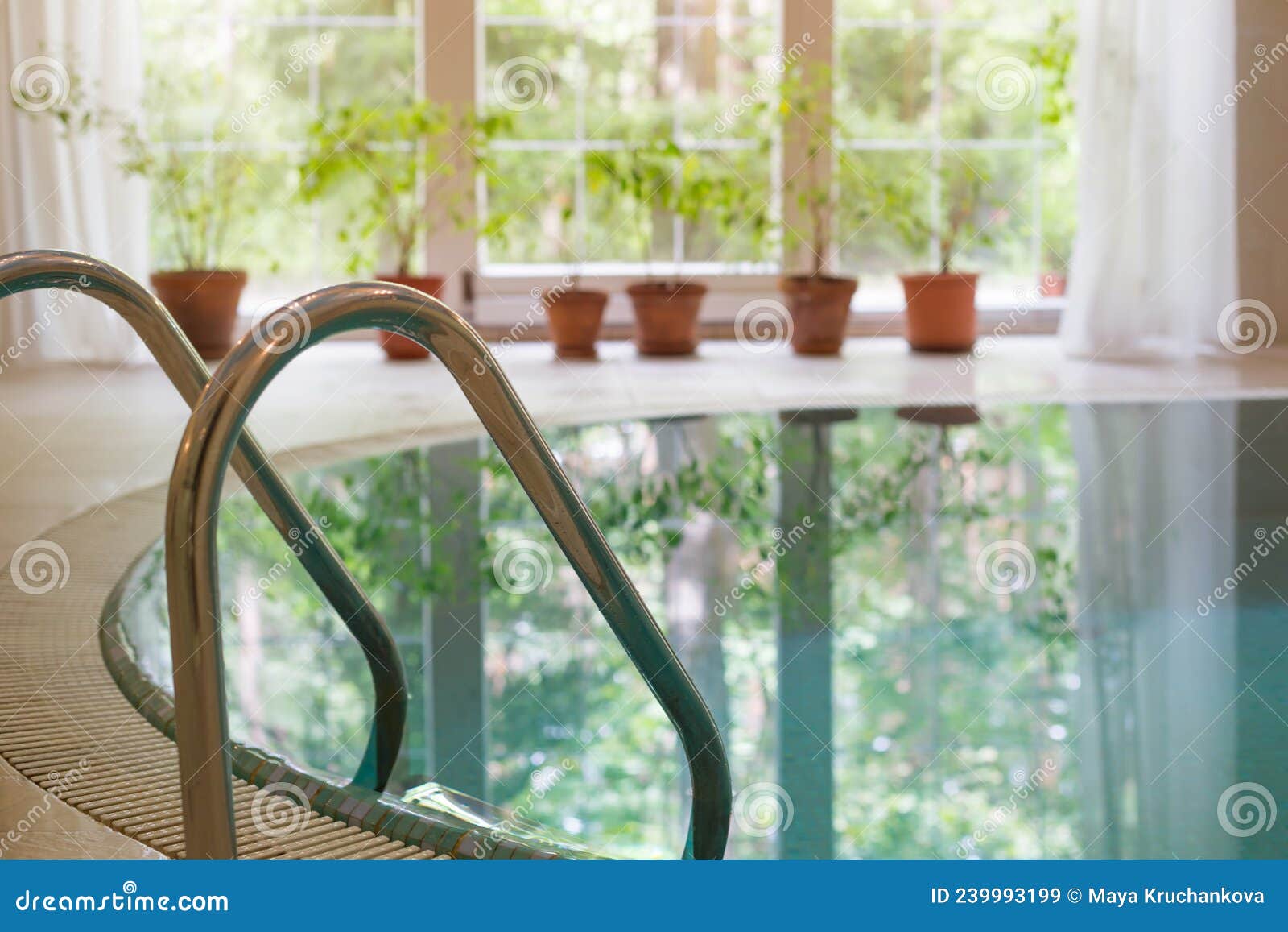 Swimming Pool with Large Panoramic Window Overlooking Summer Forest ...