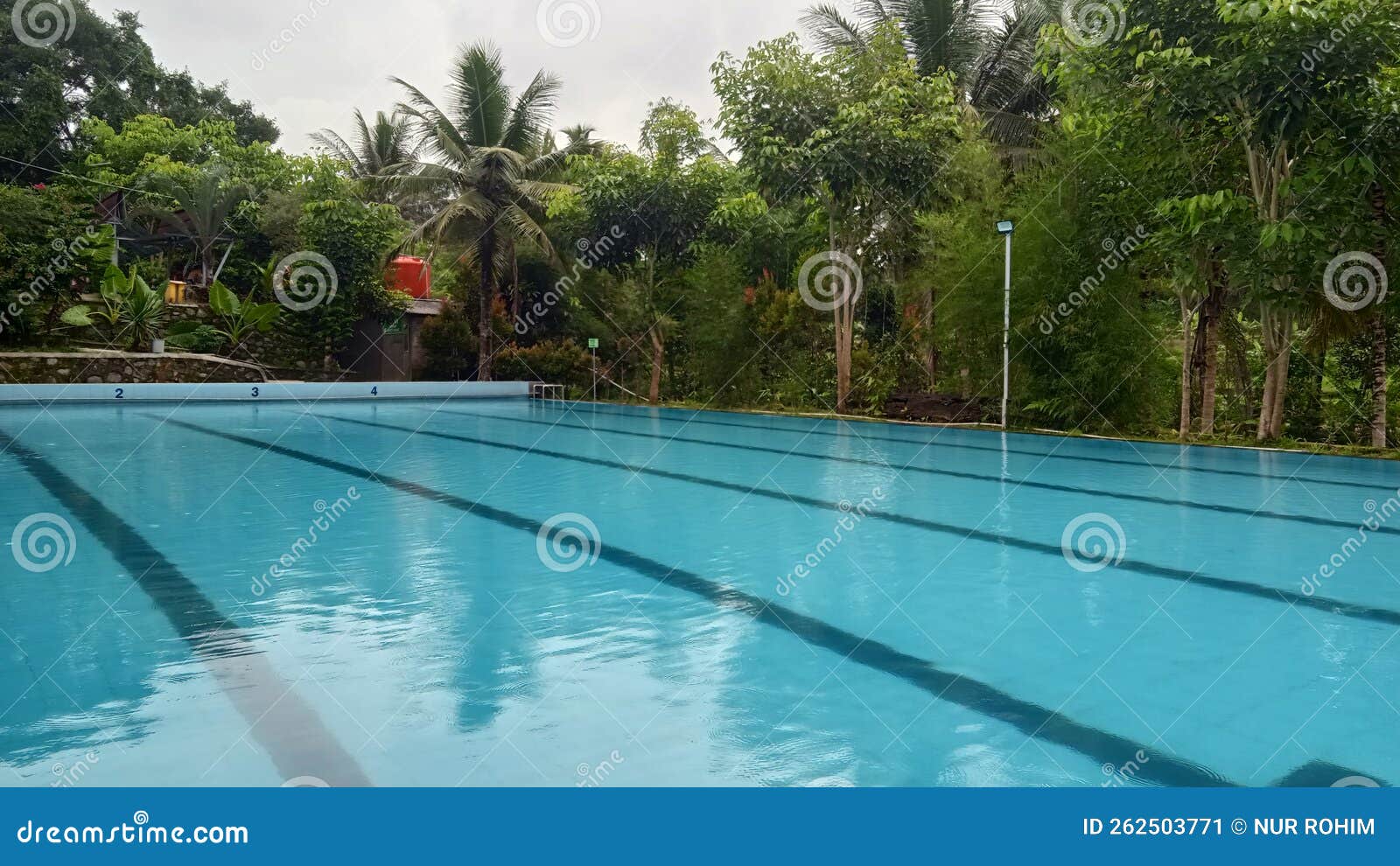 Swimming Pool in the Middle of the Forest Stock Image - Image of forest ...