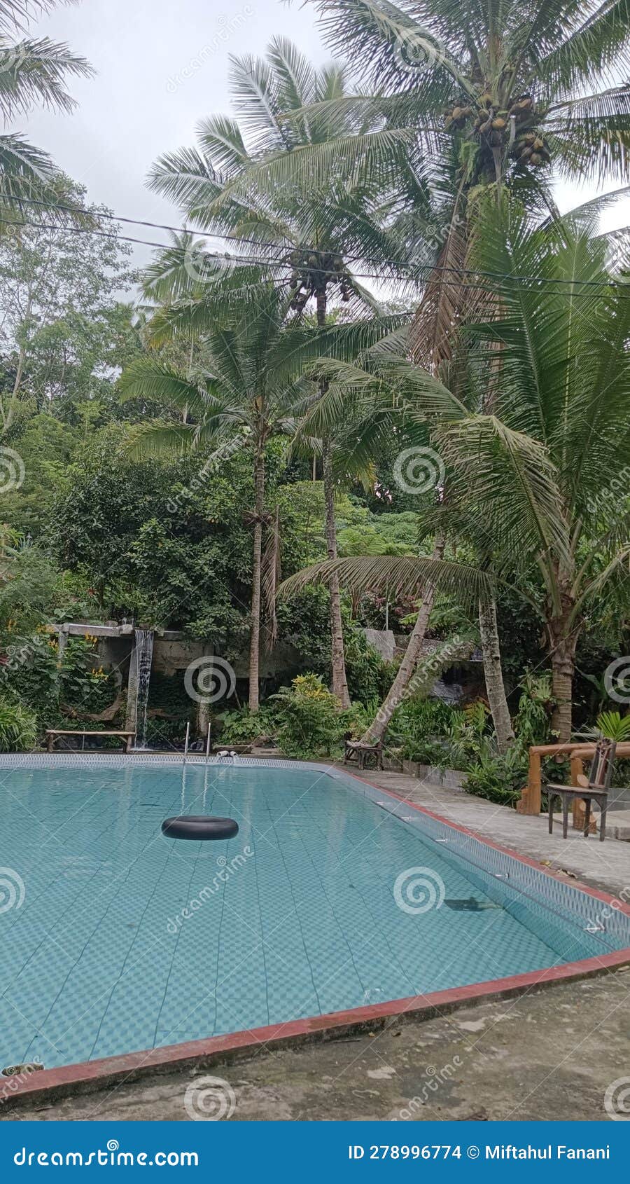 Swimming Pool in the Middle of the Forest? Stock Photo - Image of pool ...