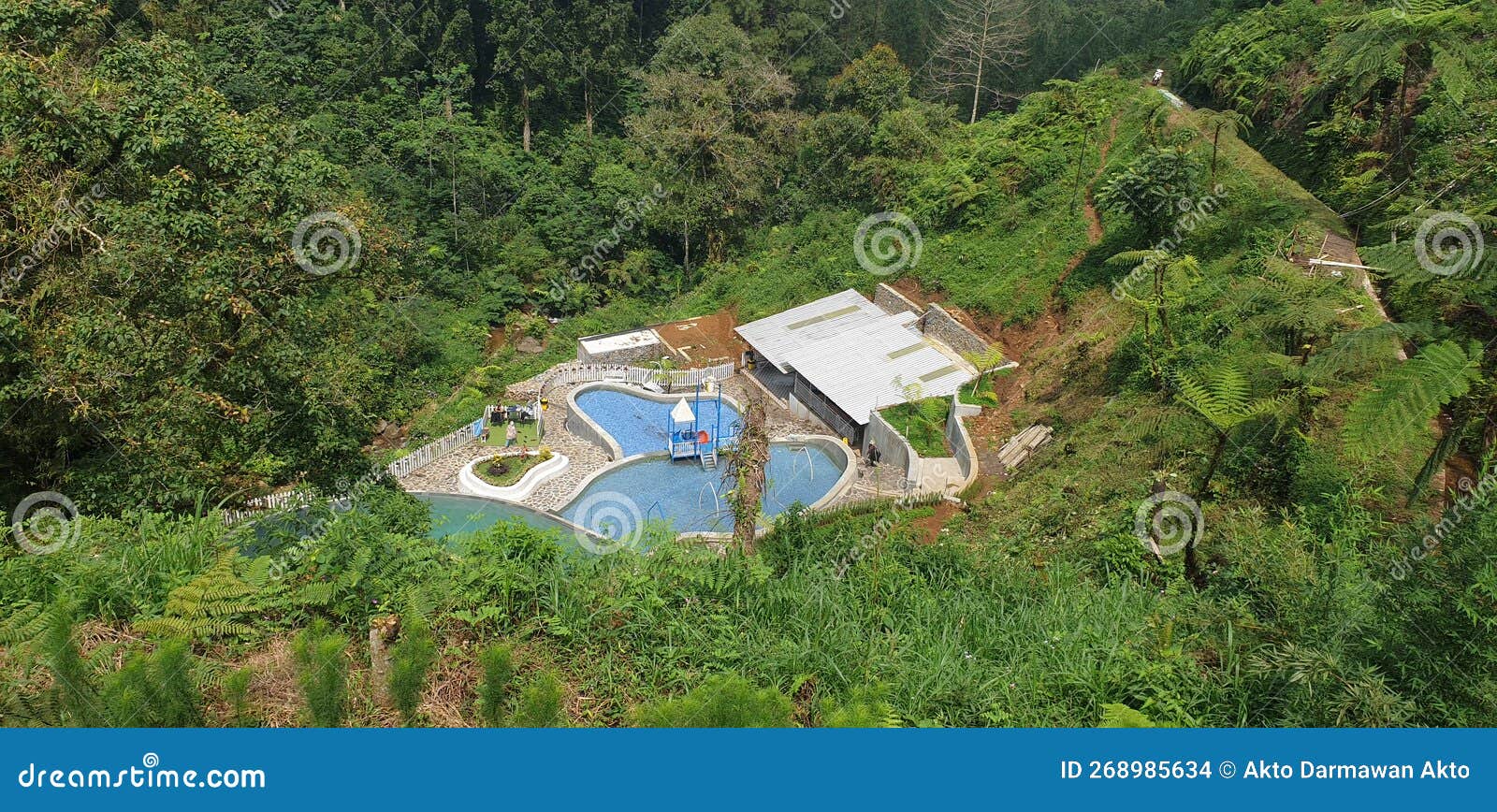 Swimming Pool in the Middle of the Forest Stock Photo - Image of right ...
