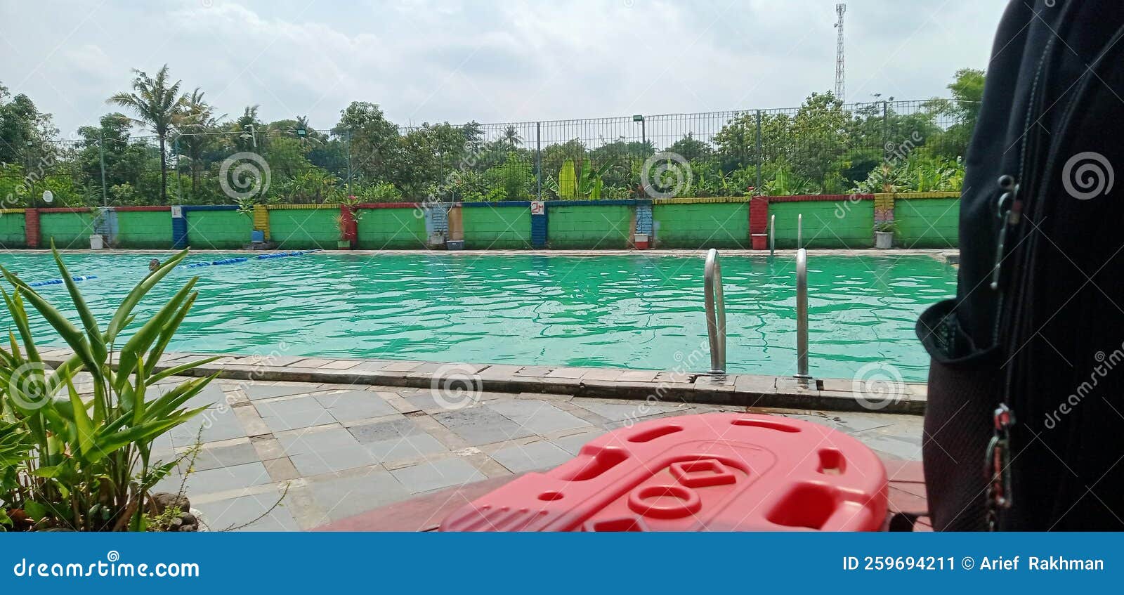 Swimming Pool in the Middle of a View of Rice Fields and Trees Stock ...