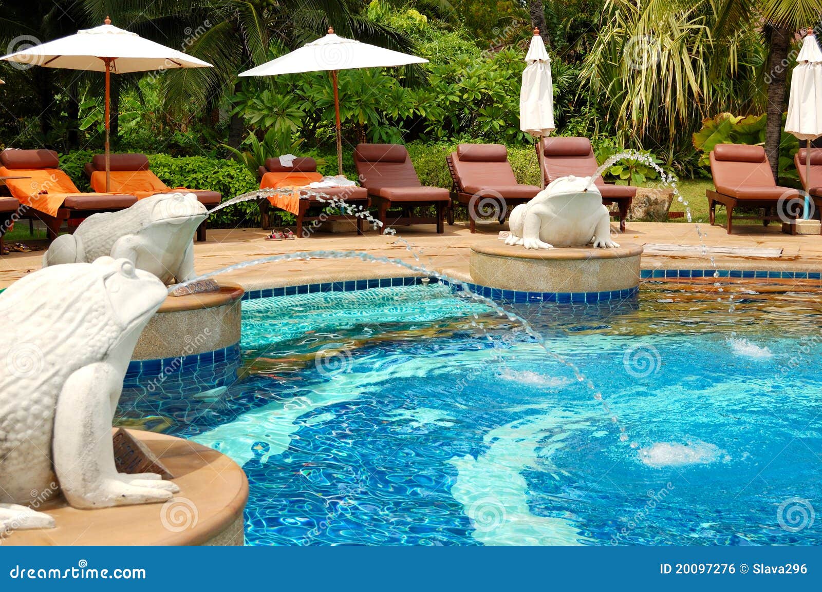 Swimming Pool at Modern Luxury Hotel Stock Photo - Image of frog ...