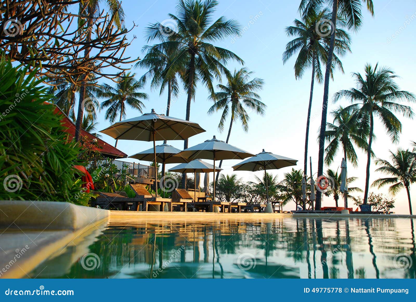 Swimming Pool in the Morning Stock Photo - Image of luxury, furniture ...