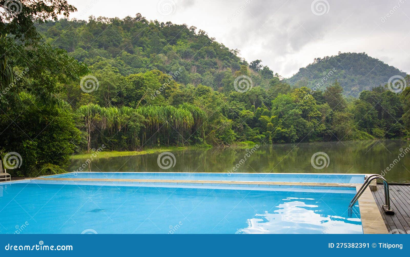 Swimming Pool in the Natural Environment Stock Image - Image of nature ...