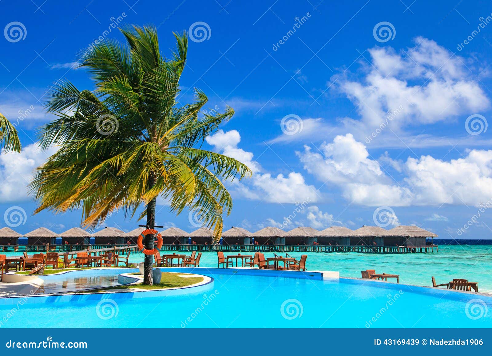 Swimming Pool Near the Beach Stock Image - Image of summer, exotic ...