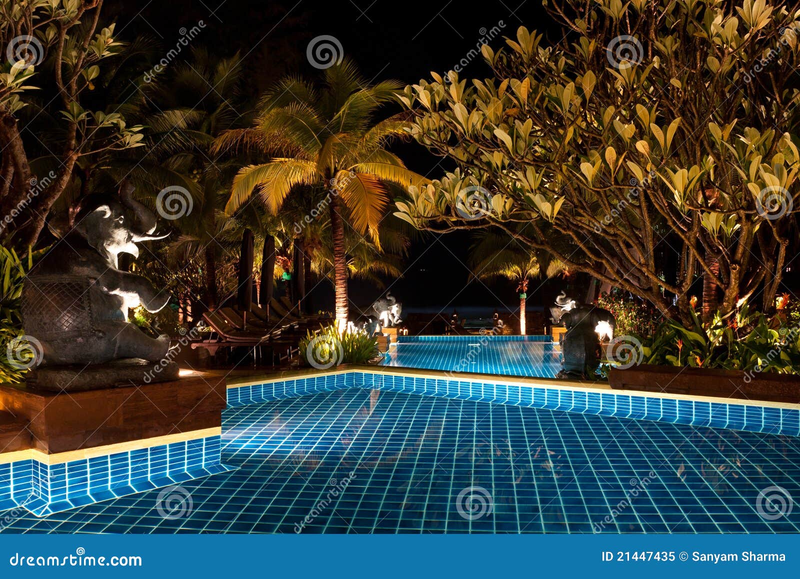 Swimming pool at night stock image. Image of asia, caribbean - 21447435