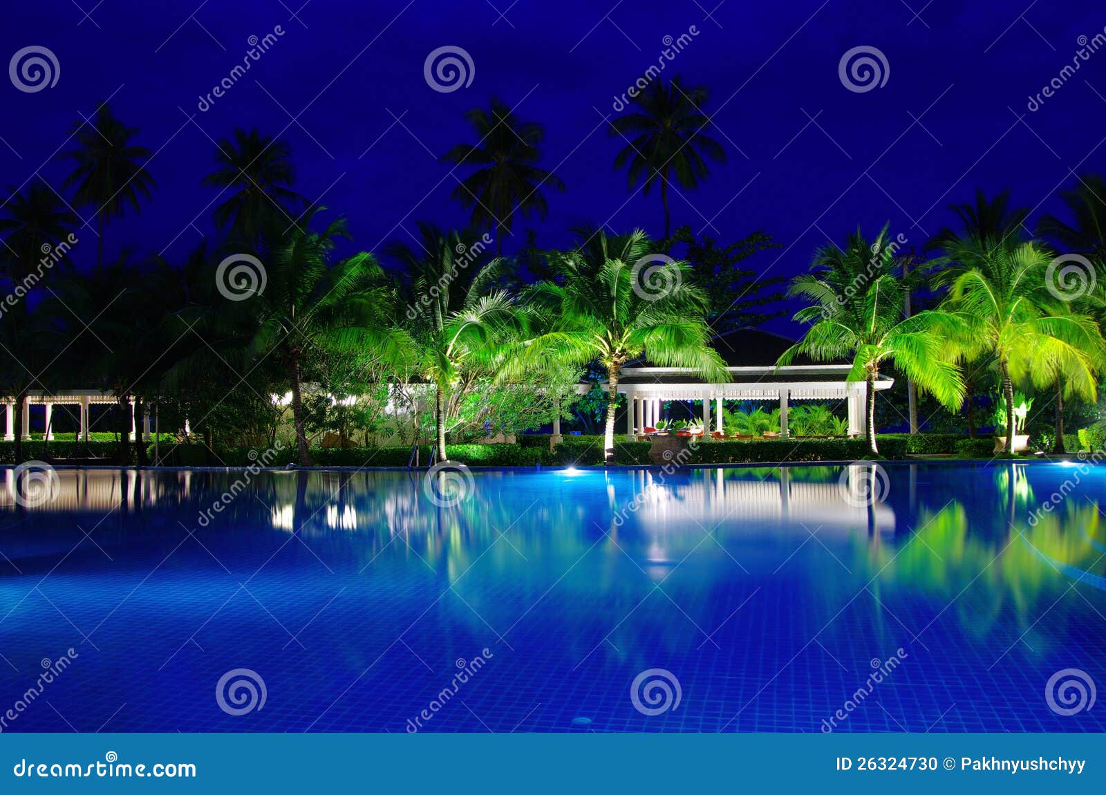 Swimming pool in night stock photo. Image of frond, tree - 26324730