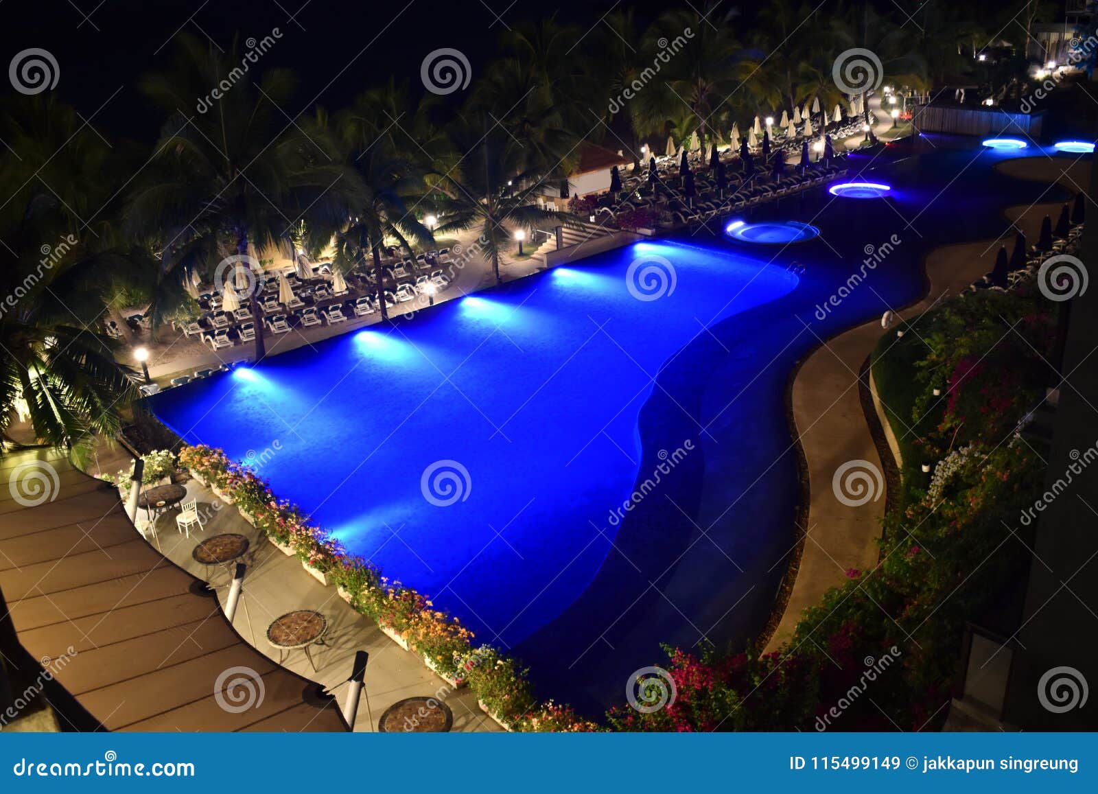 The Swimming Pool at Night. Stock Image - Image of pool, palm: 115499149