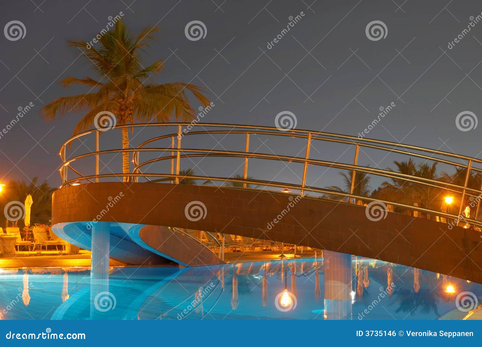 Swimming Pool, Night and Palm Trees Stock Photo - Image of high, night ...