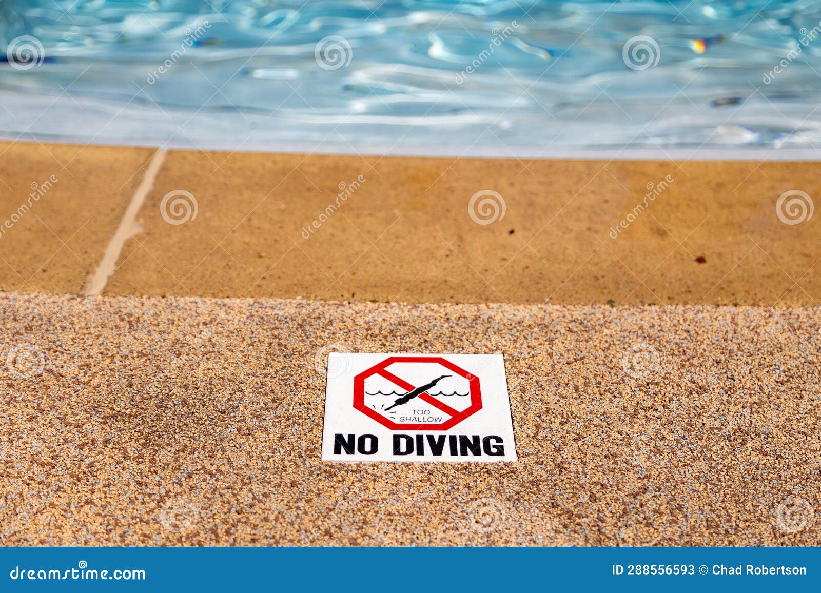 Swimming Pool with No Diving Warning Sign Stock Image - Image of summer ...