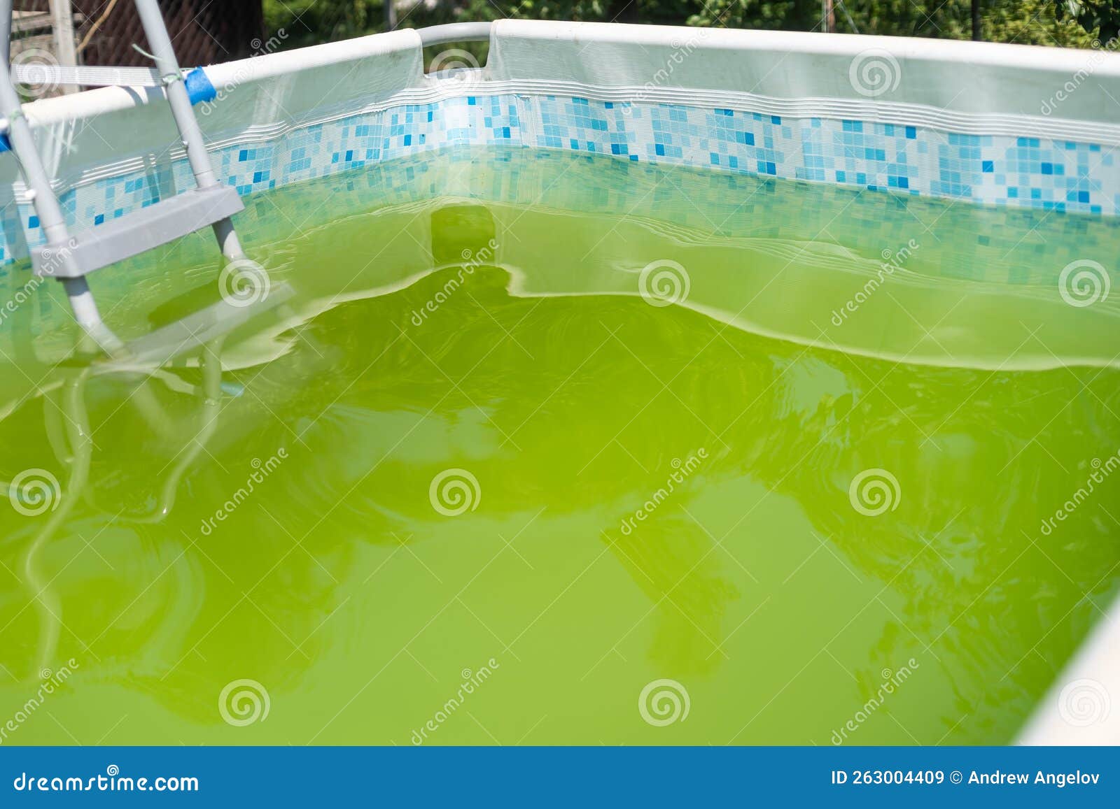 Swimming Pool is Old and Dirty. Stock Image - Image of rust, algae ...