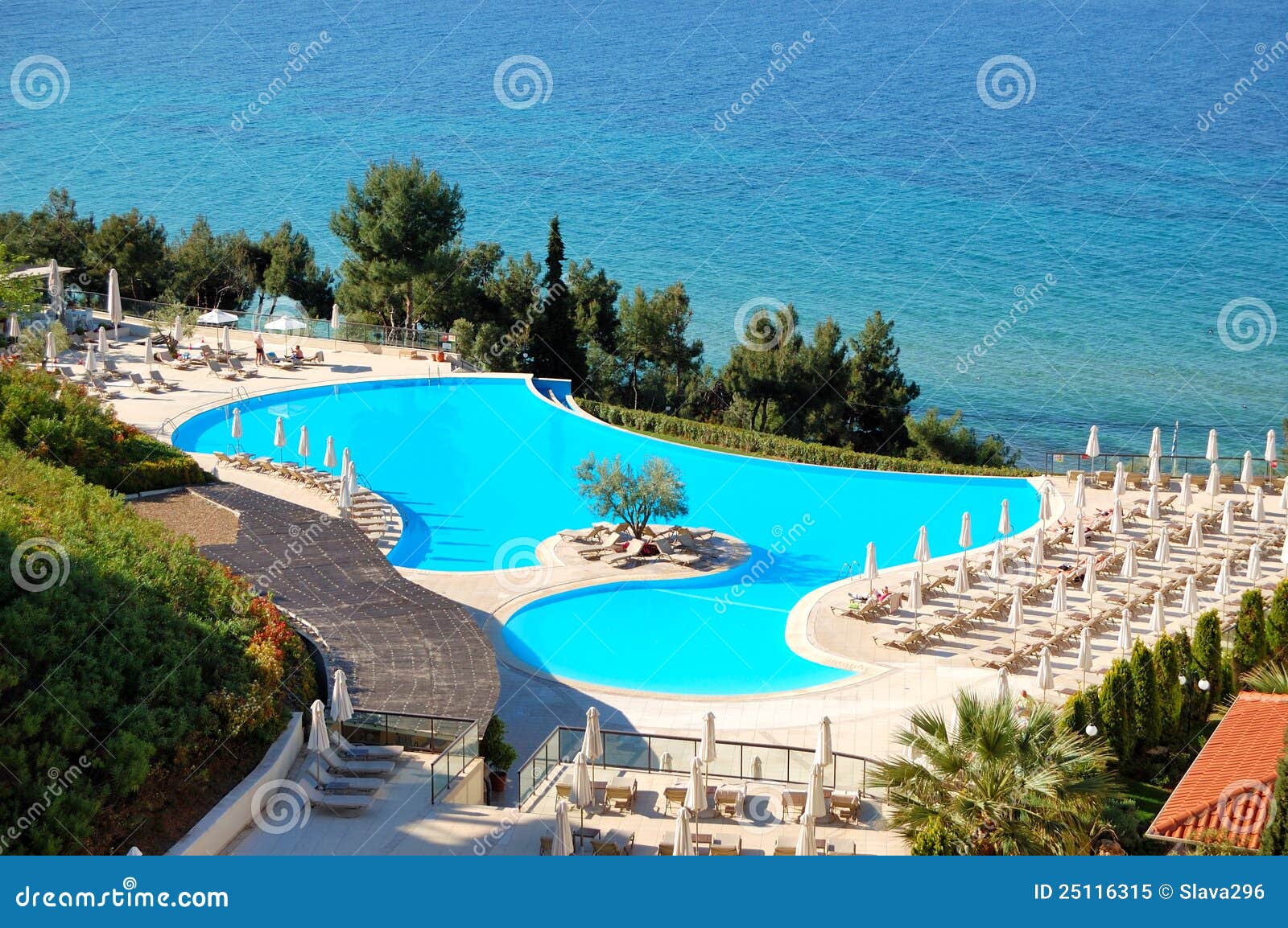 Swimming Pool with Olive Tree Stock Image - Image of resort, greece ...