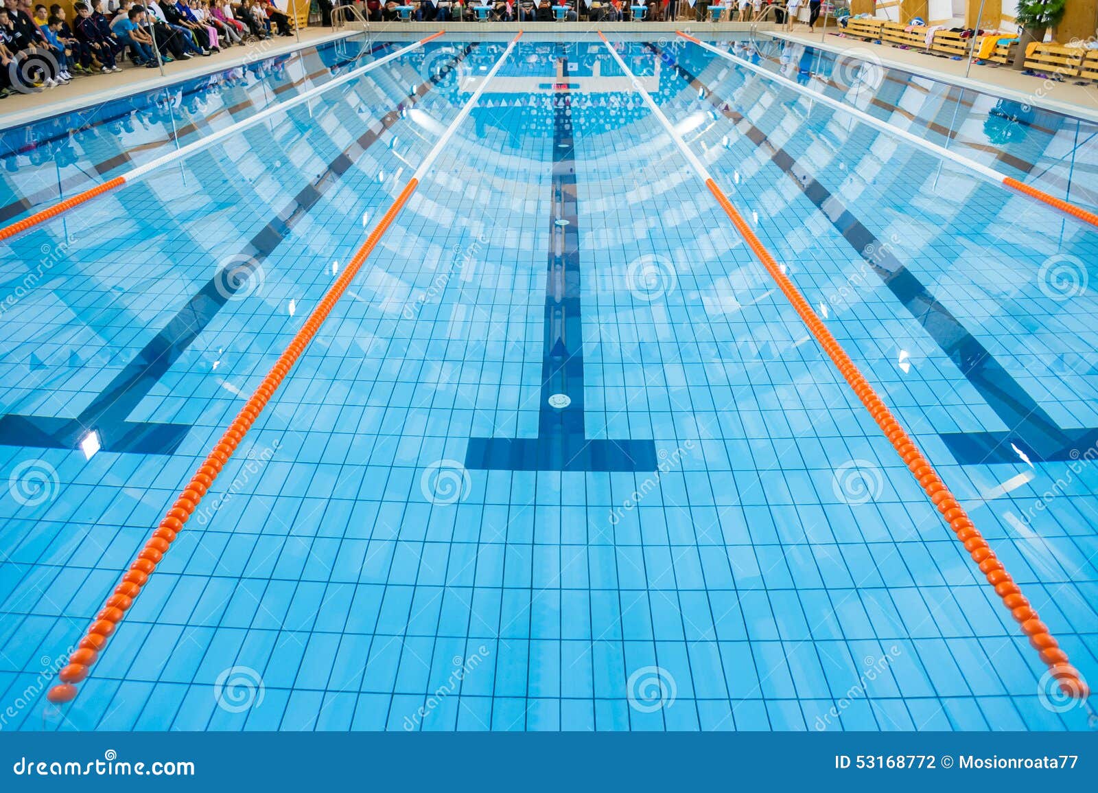 Swimming pool stock photo. Image of lanes, action, stroke - 53168772