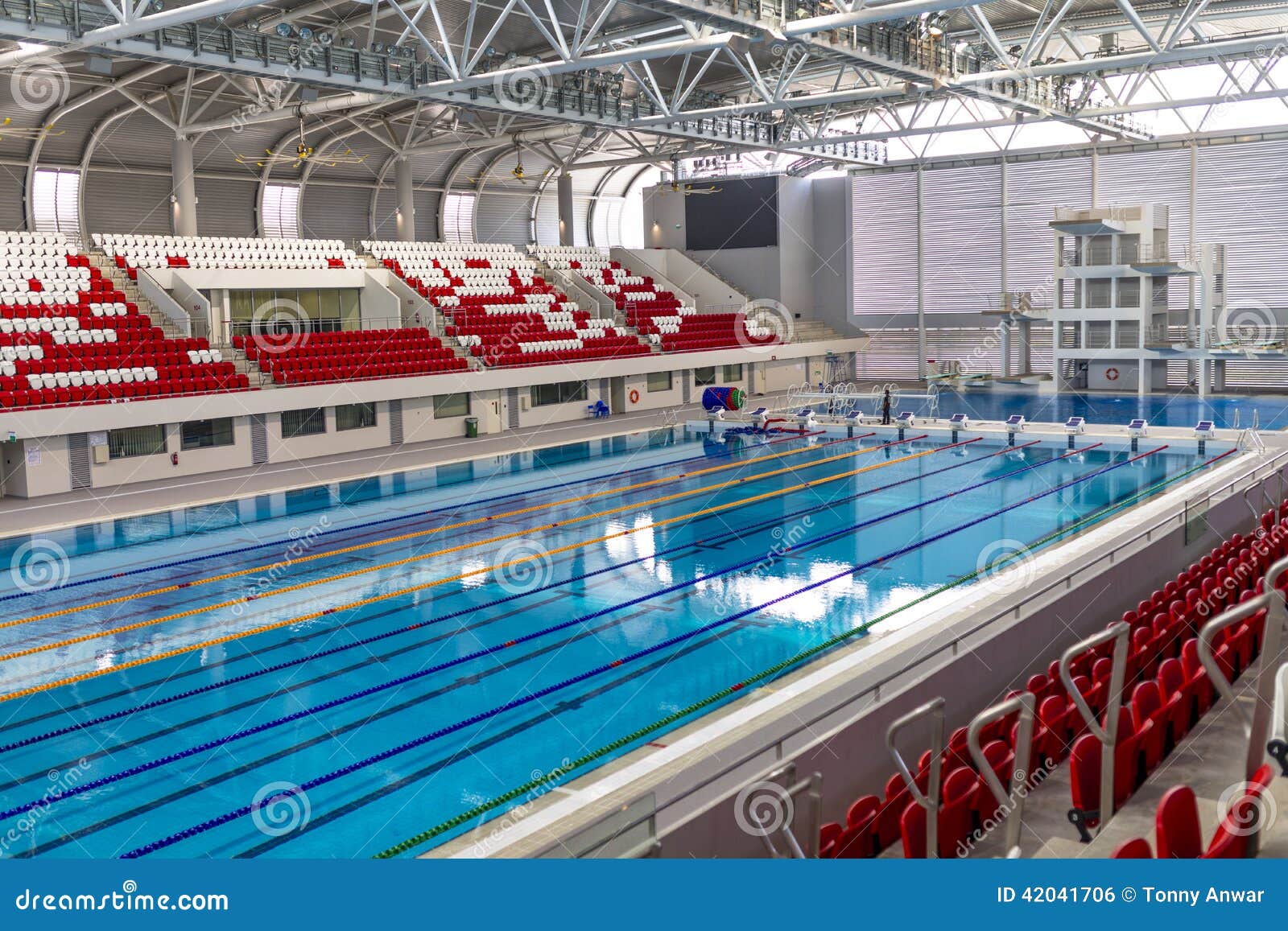 Olympic Size Swimming Pool