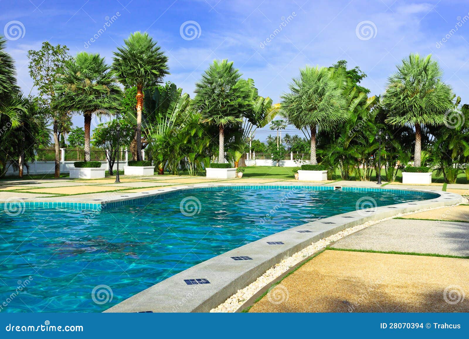Swimming Pool and Palm Garden Stock Photo - Image of leisure, garden ...