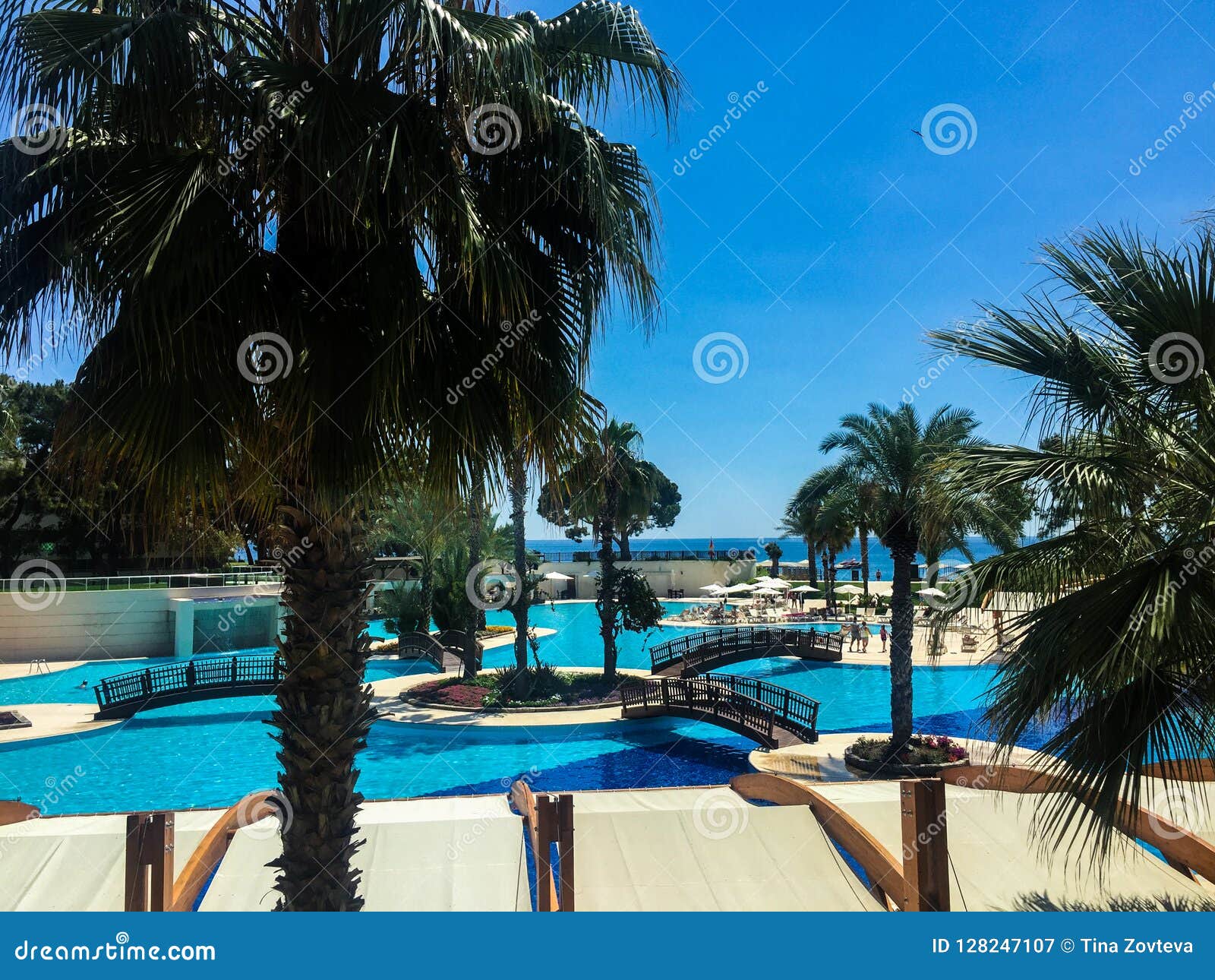 Swimming Pool with Palm Trees Stock Image - Image of beach, holiday ...