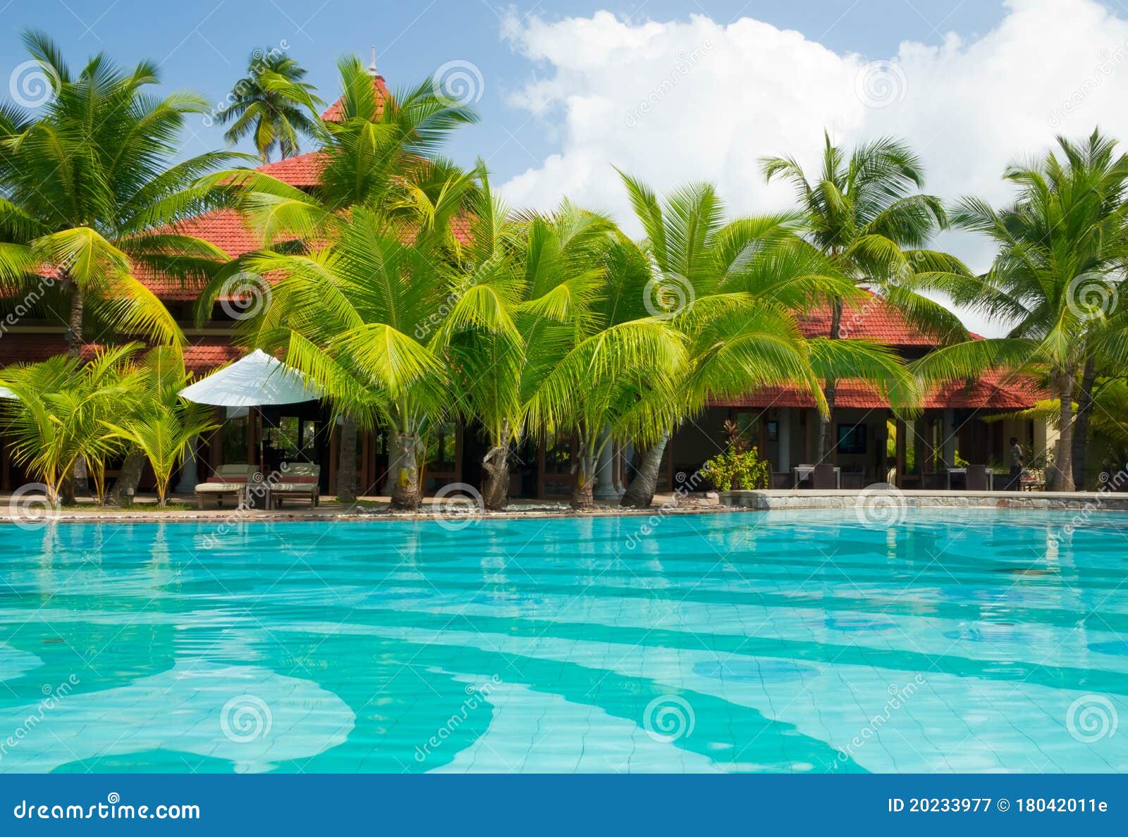 Swimming Pool with Palm Trees Stock Image - Image of color, horisontal ...