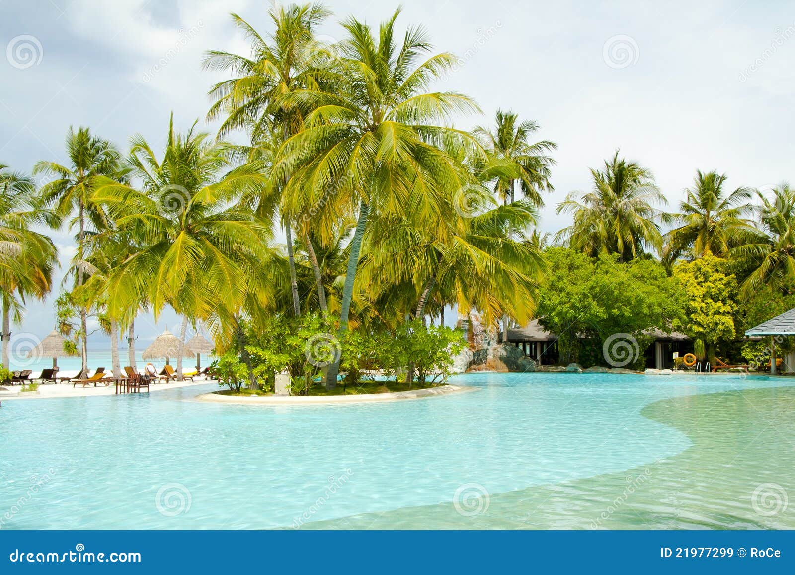Swimming Pool with Palm Trees Stock Image - Image of tree, sand: 21977299