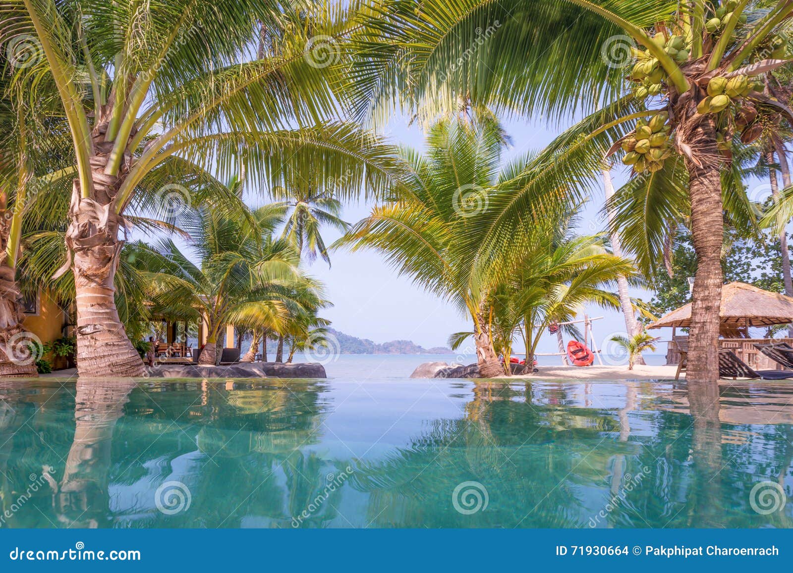 Swimming Pool, Palm Trees and the Beach in Front of. Stock Photo ...