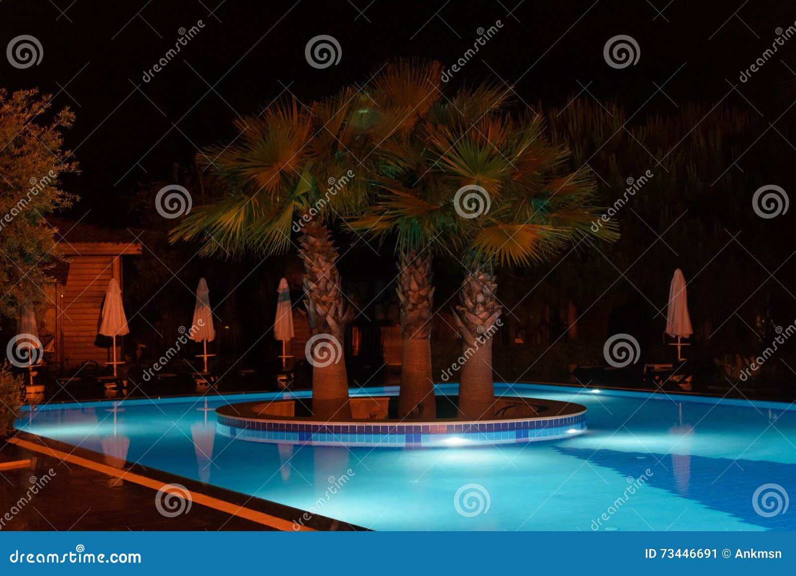 Swimming Pool with Palm Trees at Night Stock Image - Image of beautiful ...