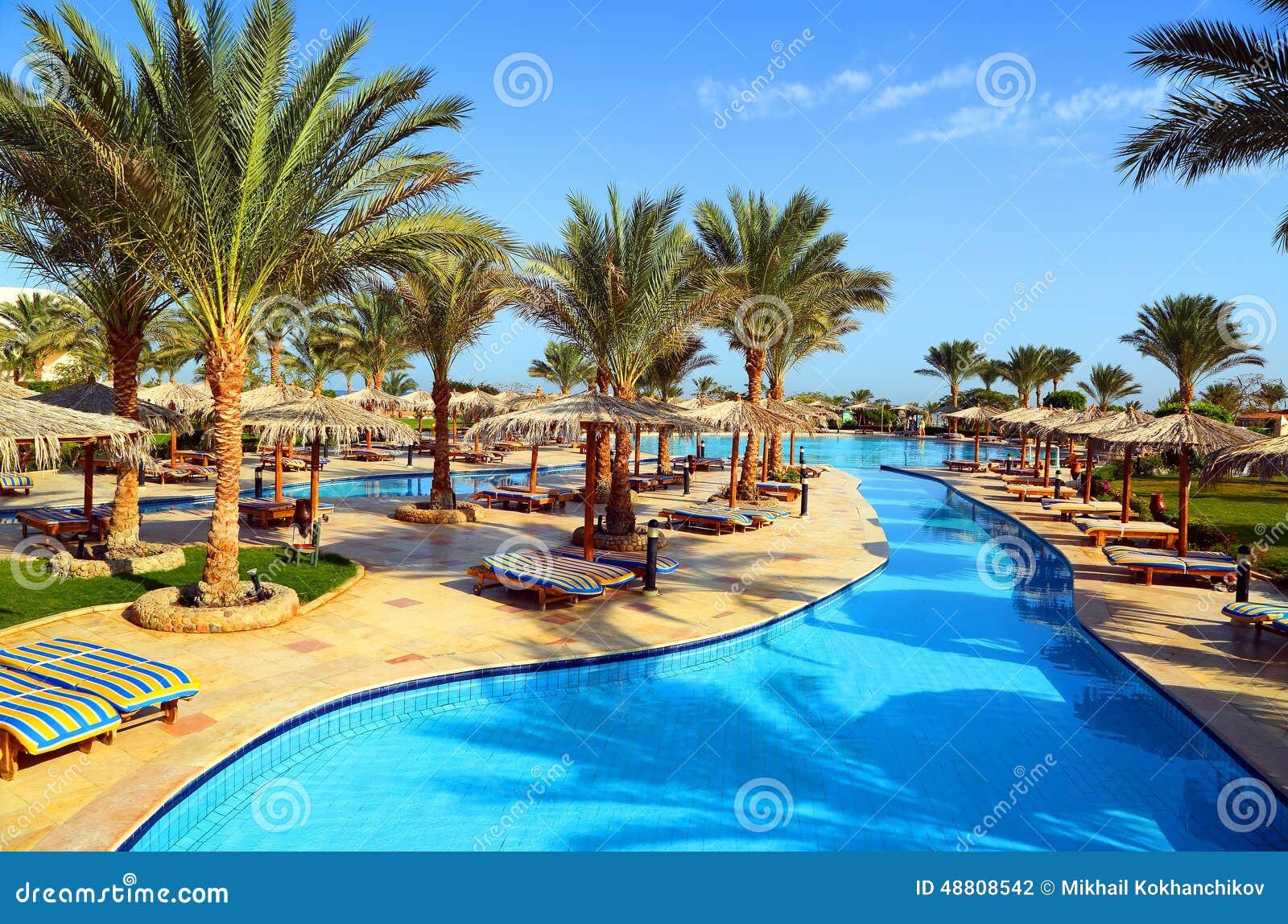Swimming Pool with Palm Trees Stock Photo - Image of chair, exotic ...