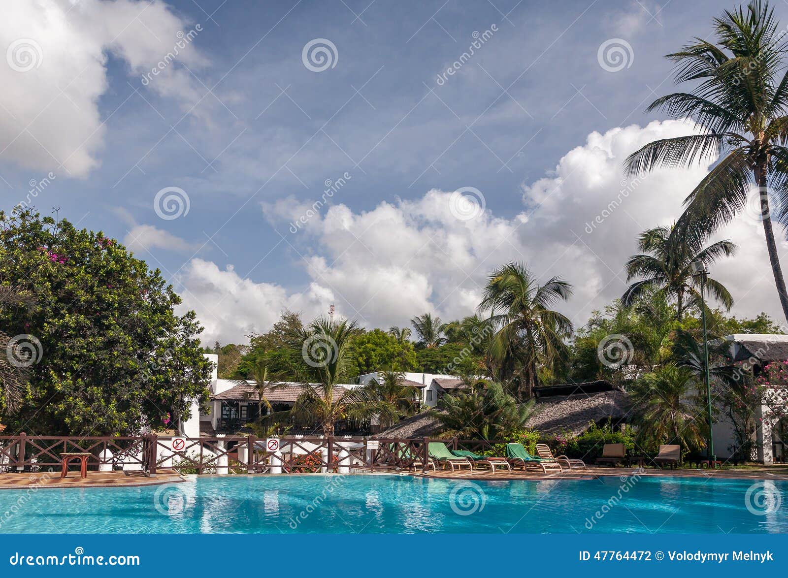 Swimming Pool, Palm Trees and Sky Stock Photo - Image of palm, paradise ...