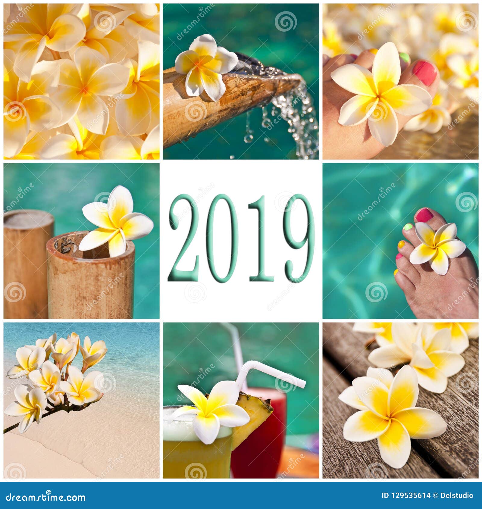2019 Swimming Pool and Plumeria Collage Stock Photo - Image of flower ...