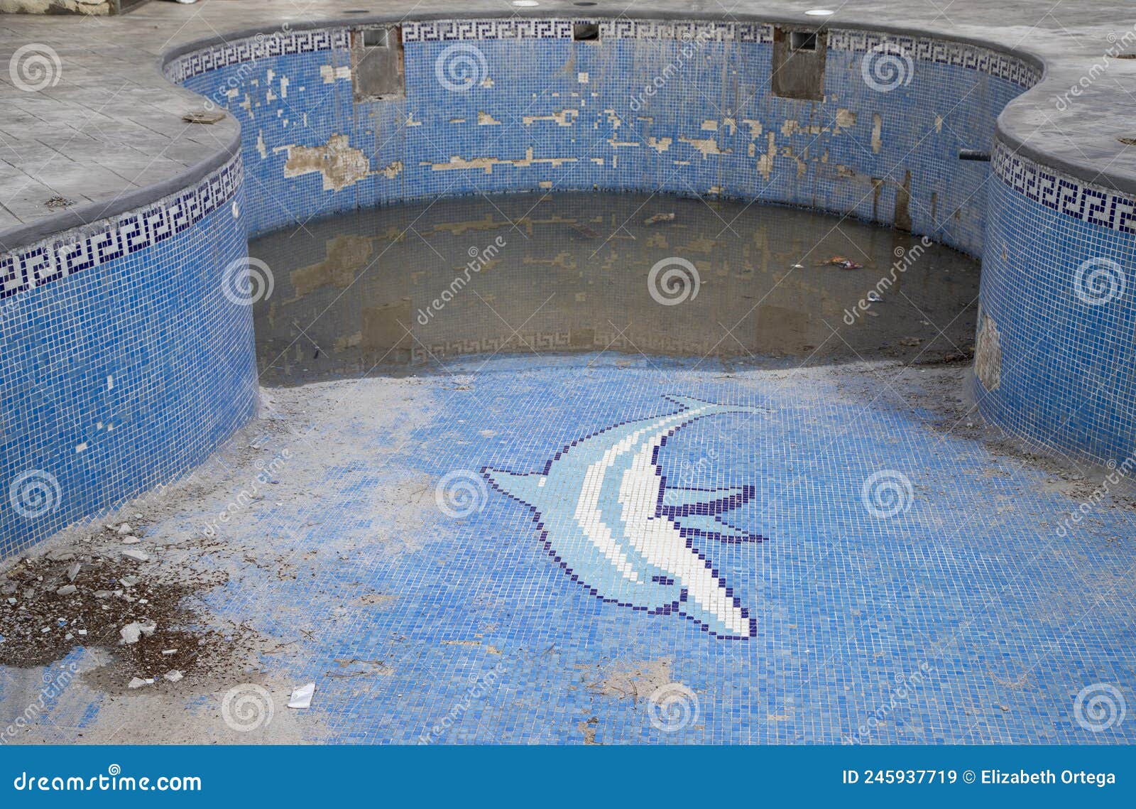 Swimming Pool in Poor Condition, Pending Repair Stock Image - Image of ...