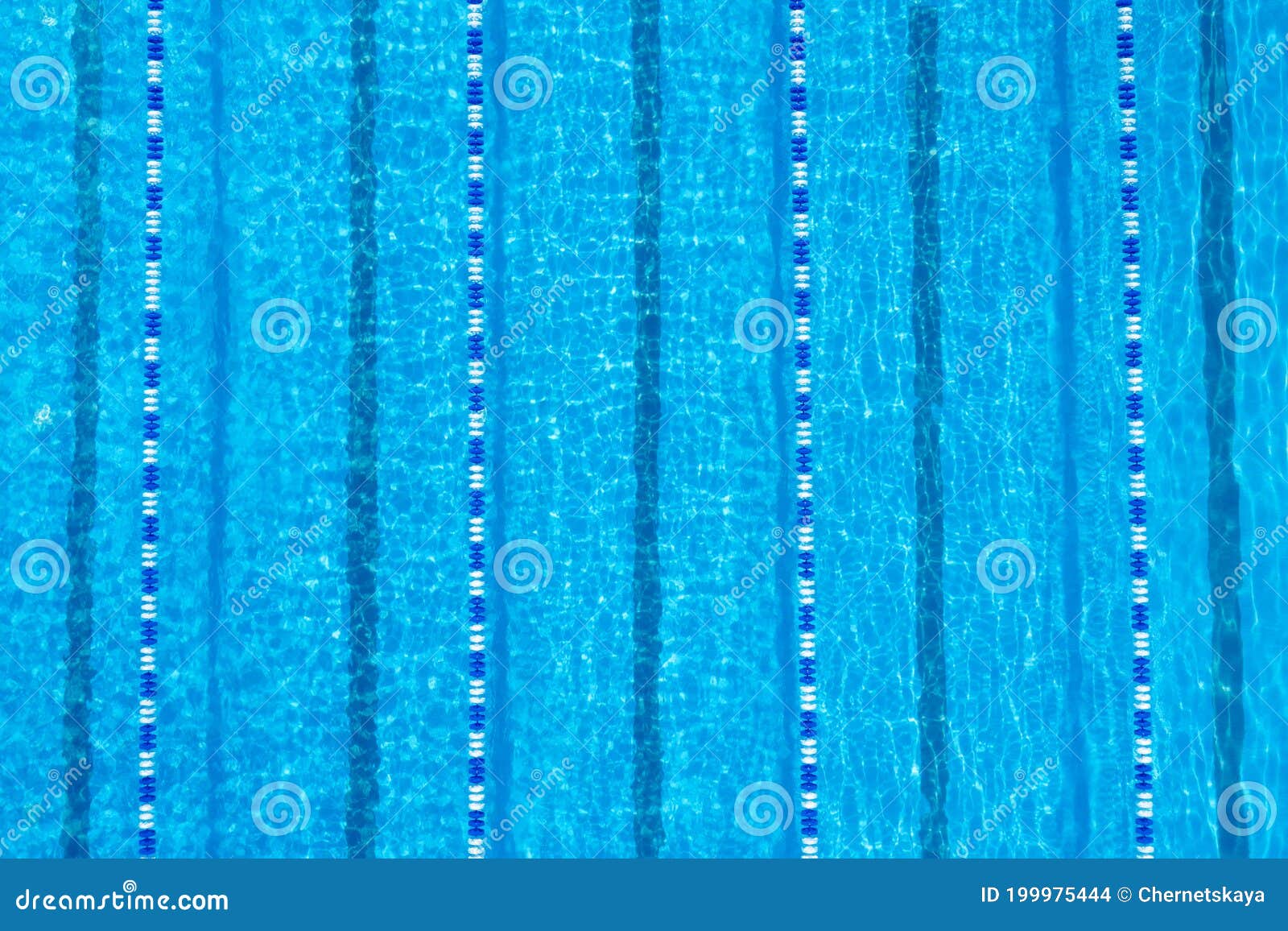 Swimming Pool with Racing Lane Dividers, Top View Stock Photo - Image ...