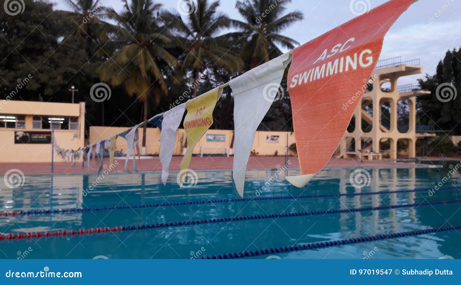 Swimming Pool Ready To Race Stock Image - Image of freestyle, champion ...