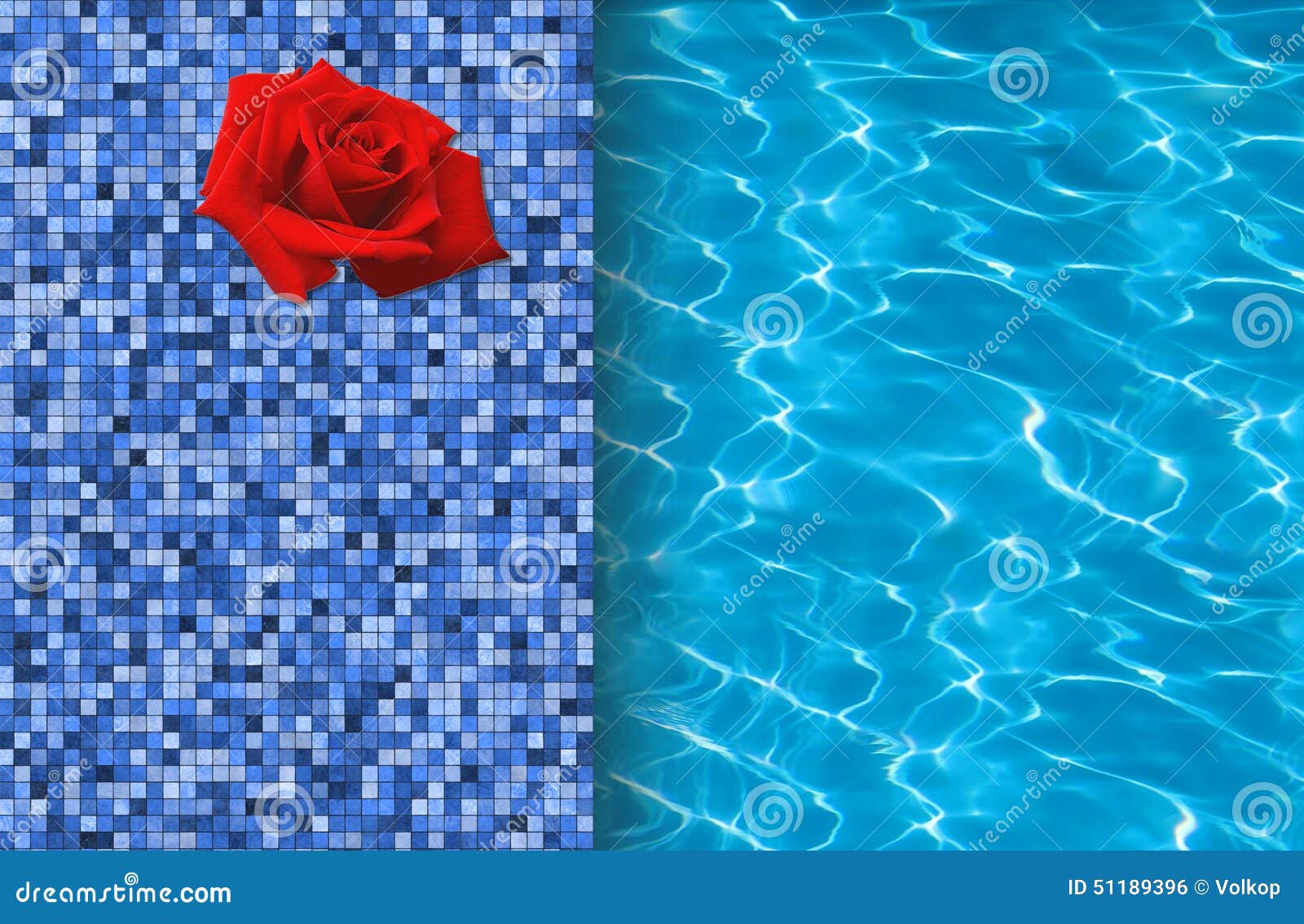 Swimming Pool and Red Rose on Tile Ideal Stock Photo - Image of tile ...