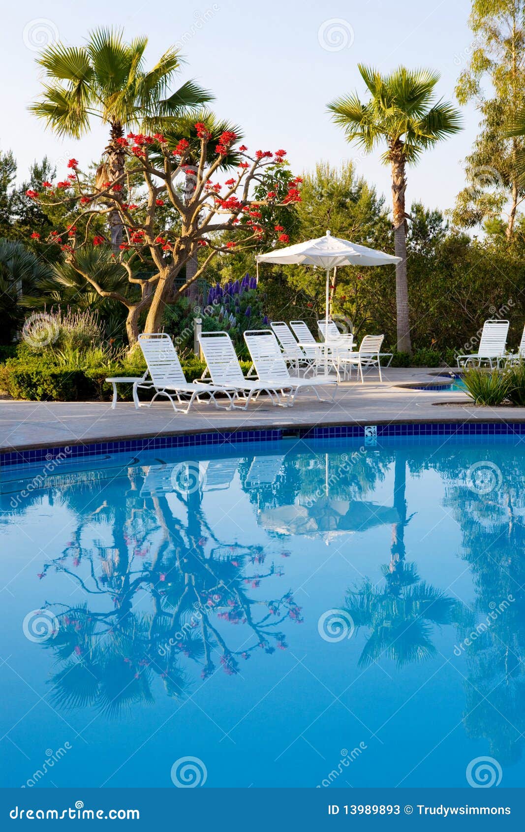 Swimming Pool with Reflections Stock Image - Image of water, swimming ...