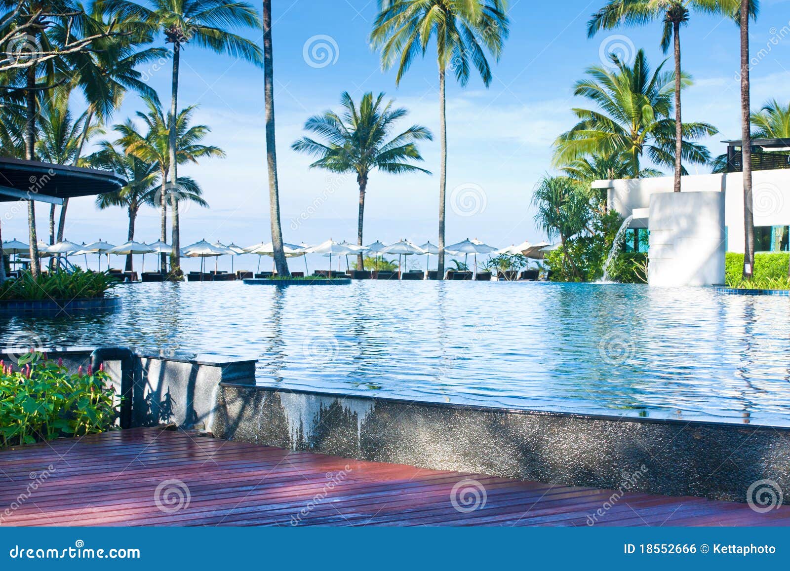 Swimming pool in resort stock photo. Image of clean, pool - 18552666