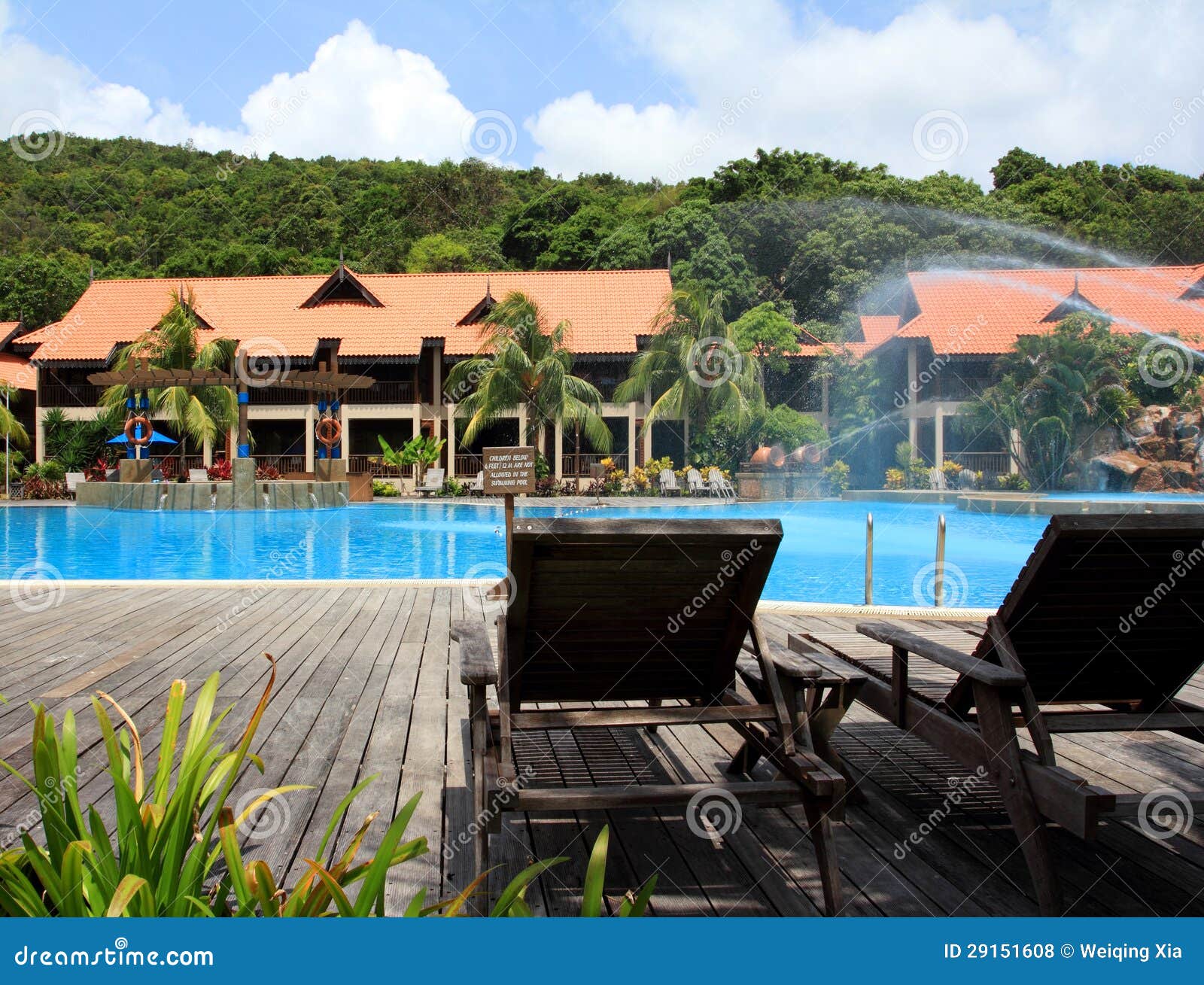 Swimming pool in resort stock photo. Image of palm, bright - 29151608