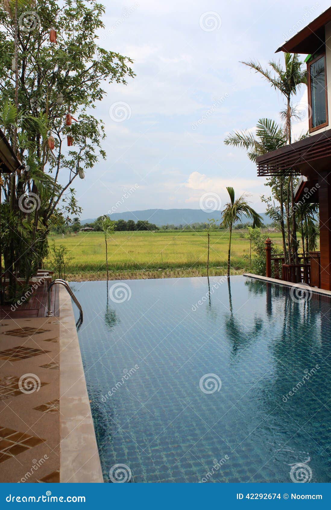 Swimming pool stock photo. Image of grass, home, landscape - 42292674