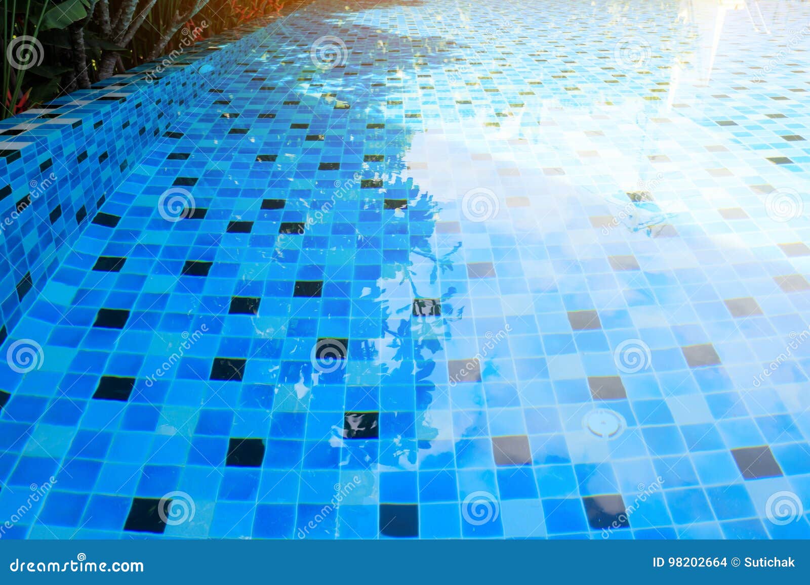 Swimming Pool Sploe Deep Shallow Stock Photo - Image of design, pattern ...