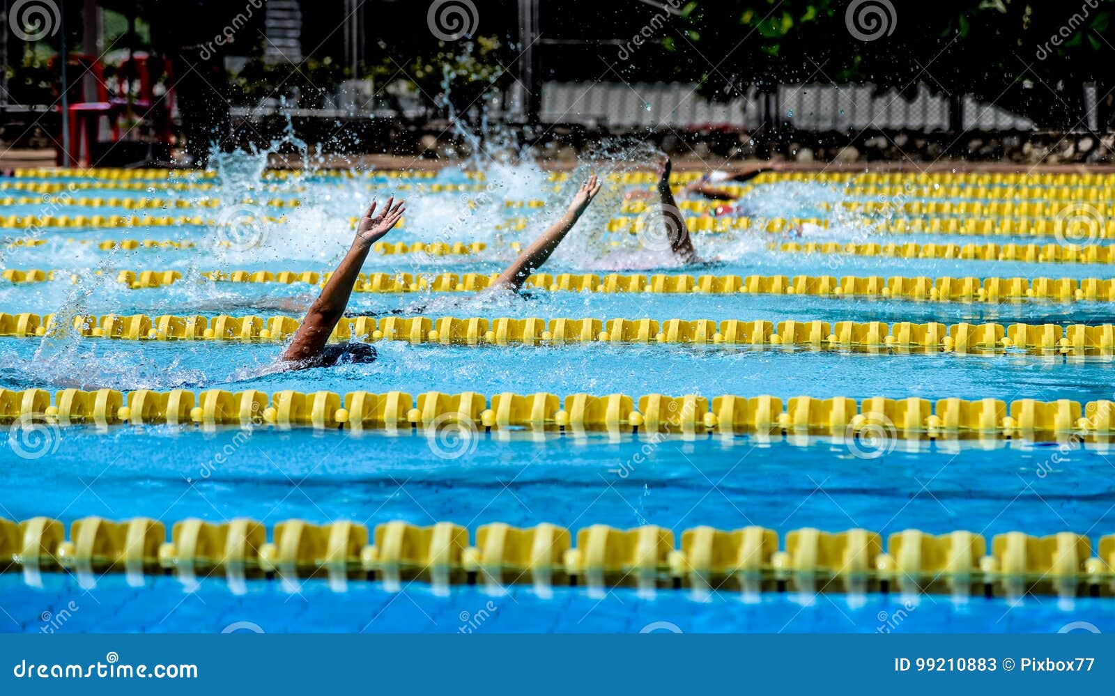 Swimming at Pool, Sport in Summer Time Stock Image - Image of activity ...