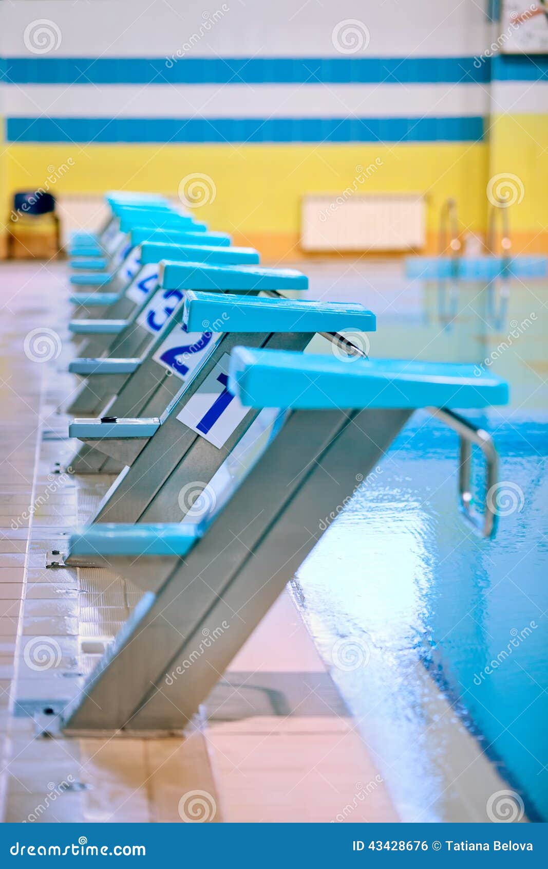 Swimming Pool with Starting Blocks Stock Photo - Image of sport ...