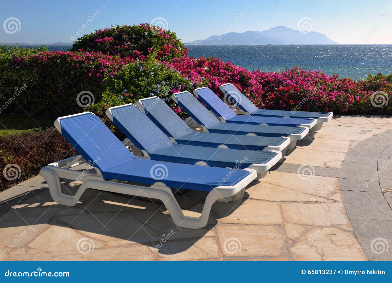 Swimming Pool with Sun Beds Stock Image - Image of green, concept: 65813237
